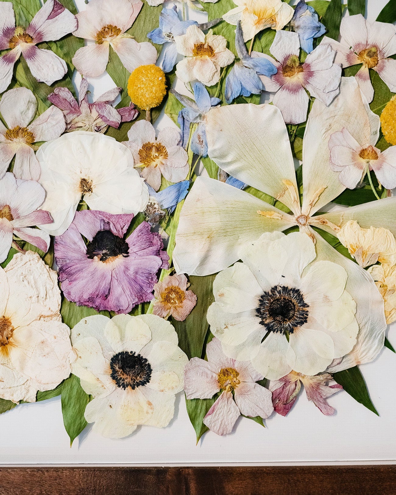 Why Do People Press Flowers? - Benefits - Pressed Floral™