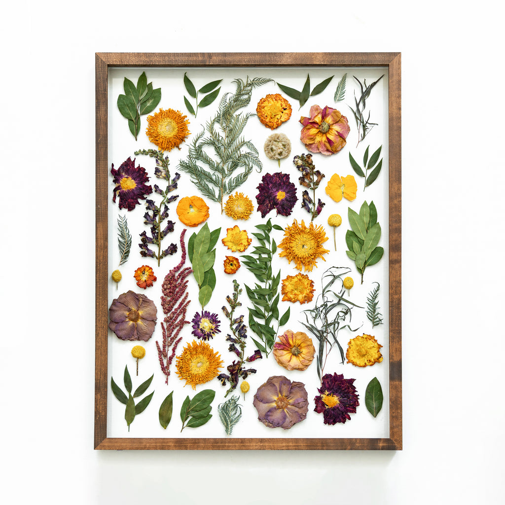 Floral Preservation Pressed Floral Floral Preservation Pressed Floral