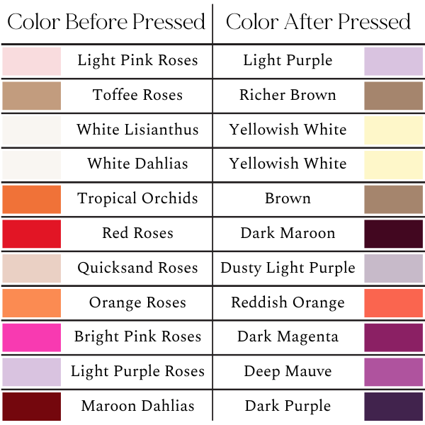 Color Change - What to Expect - Pressed Floral™